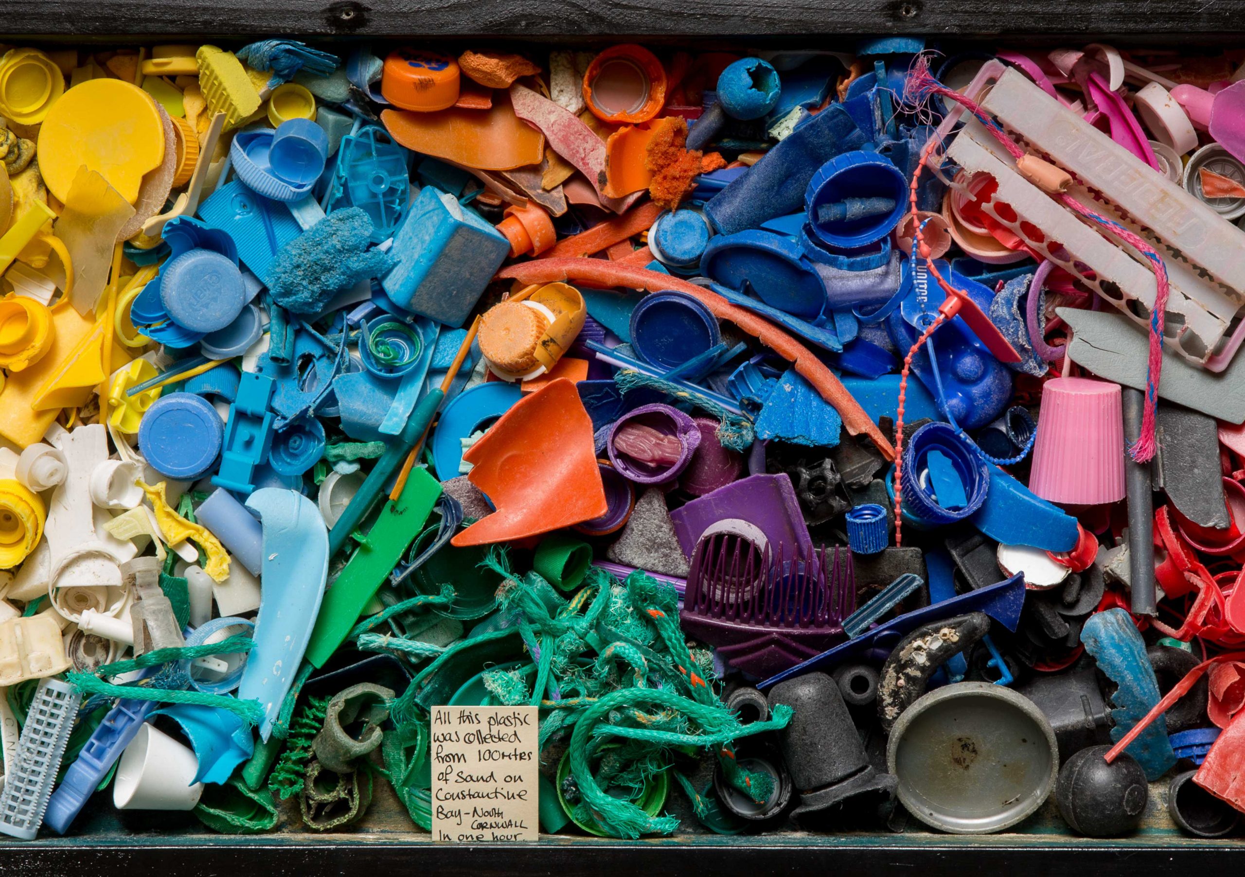 The Museum of Us - Wildworks : Wildworks