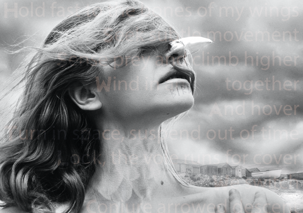 JOIN US TO CREATE A NEW, ANCIENT/MODERN RITUAL - Wildworks : Wildworks