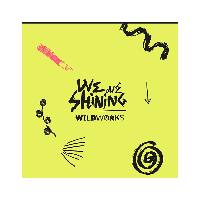 WE ARE SHINING - Wildworks : Wildworks