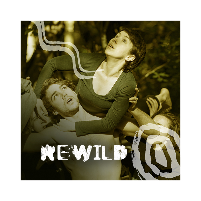 REWILD - Wildworks : Wildworks